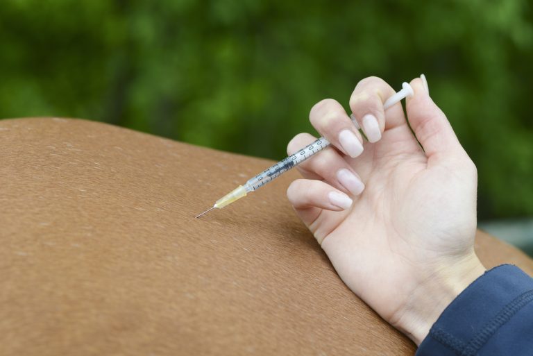 A Guide to SI Joint in Horses [Diagnosis, Prevention & Treatment ...